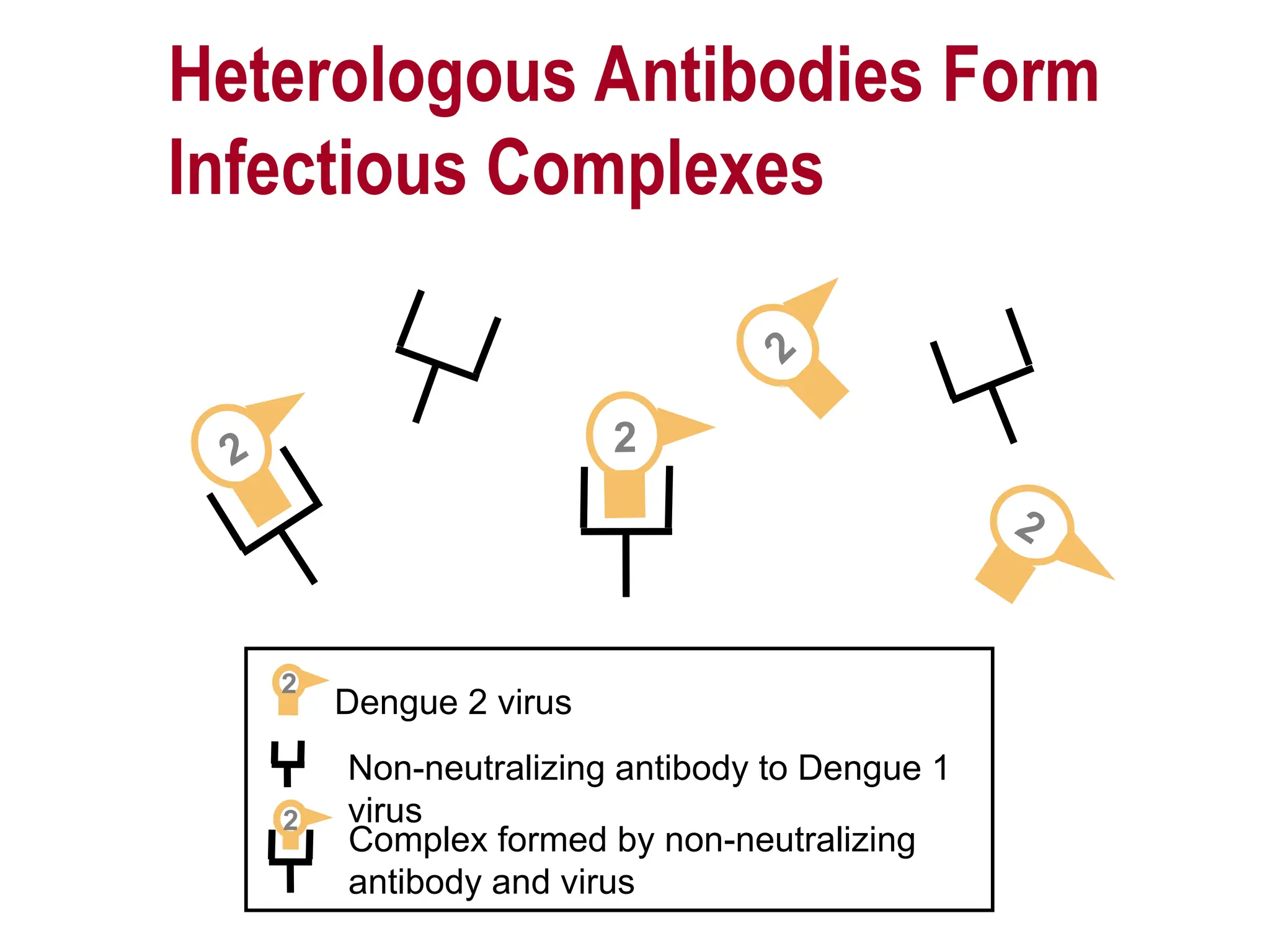 symptoms control of DENGUE_FEVER_&_DHF.ppt