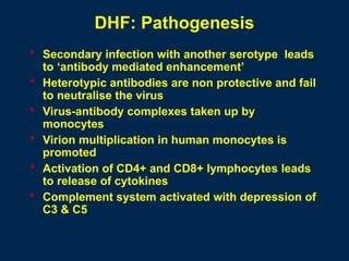 presentation on dengue and its management | PPTX