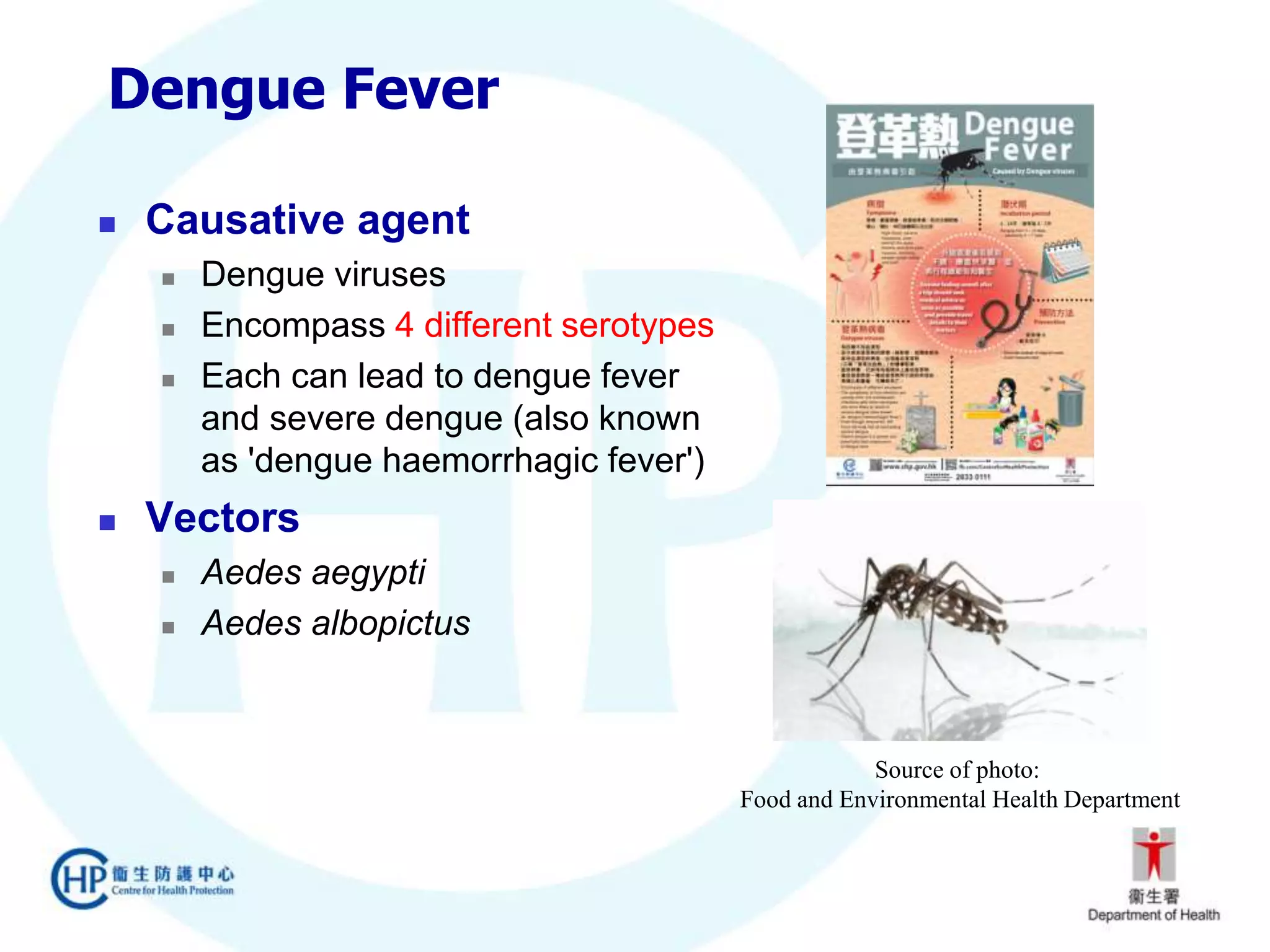 dengue_fever_eng.pptx