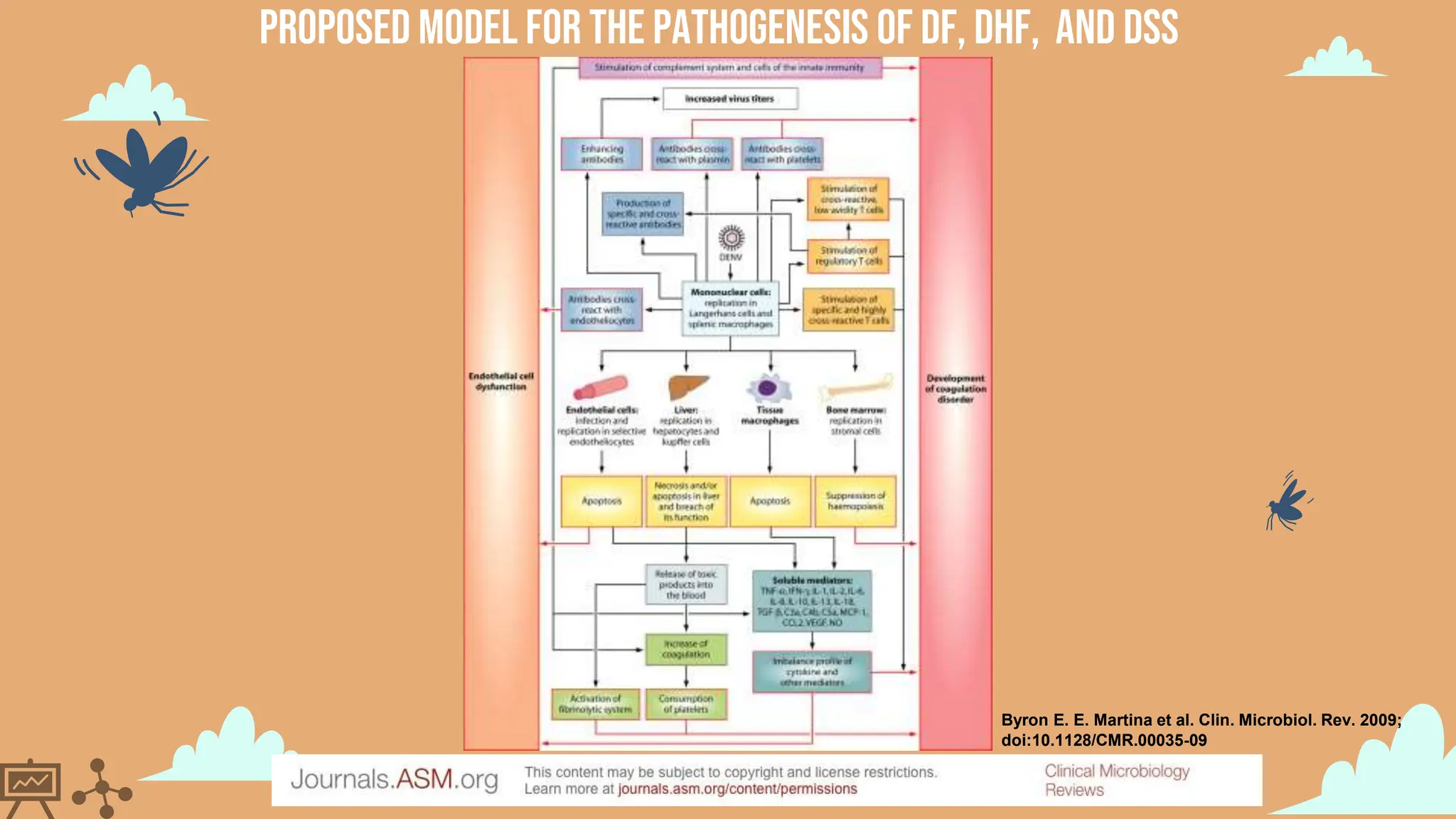 dengue fever murag final na why title need to be long.pptx
