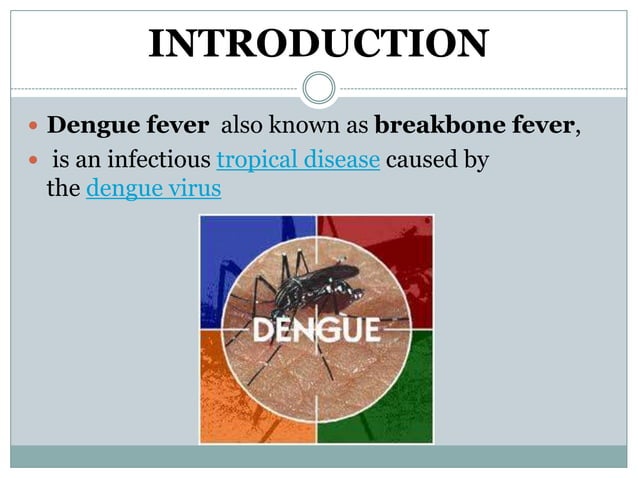 Dengue fever ppt | PPTX | Infectious Diseases | Diseases and Conditions
