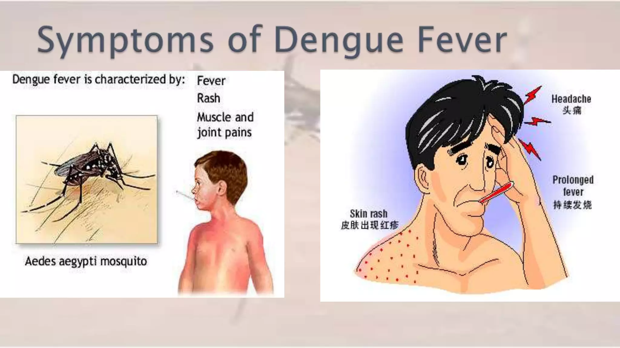 Dengue fever ppt(1) | PPT