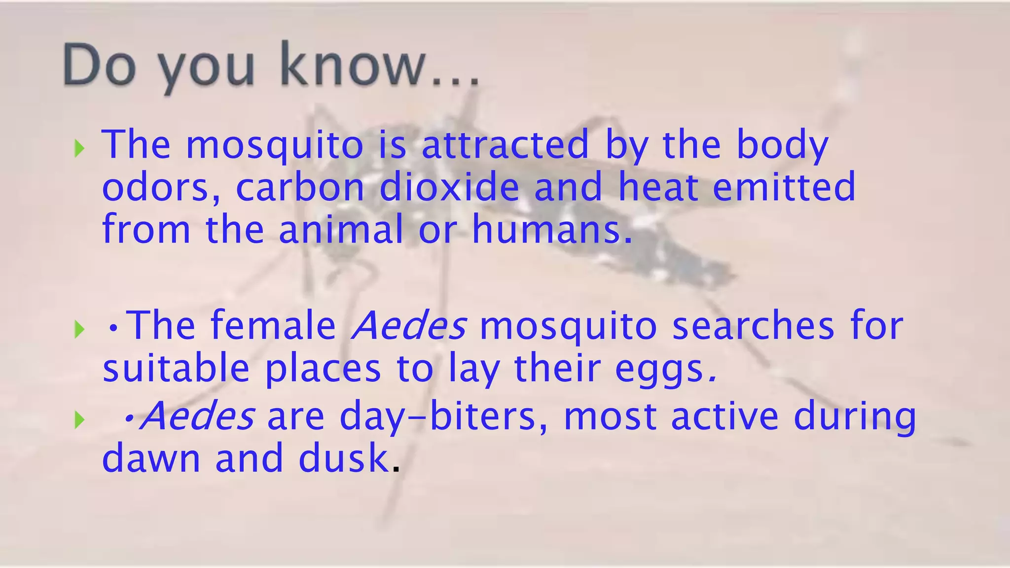 Dengue fever ppt(1) | PPT