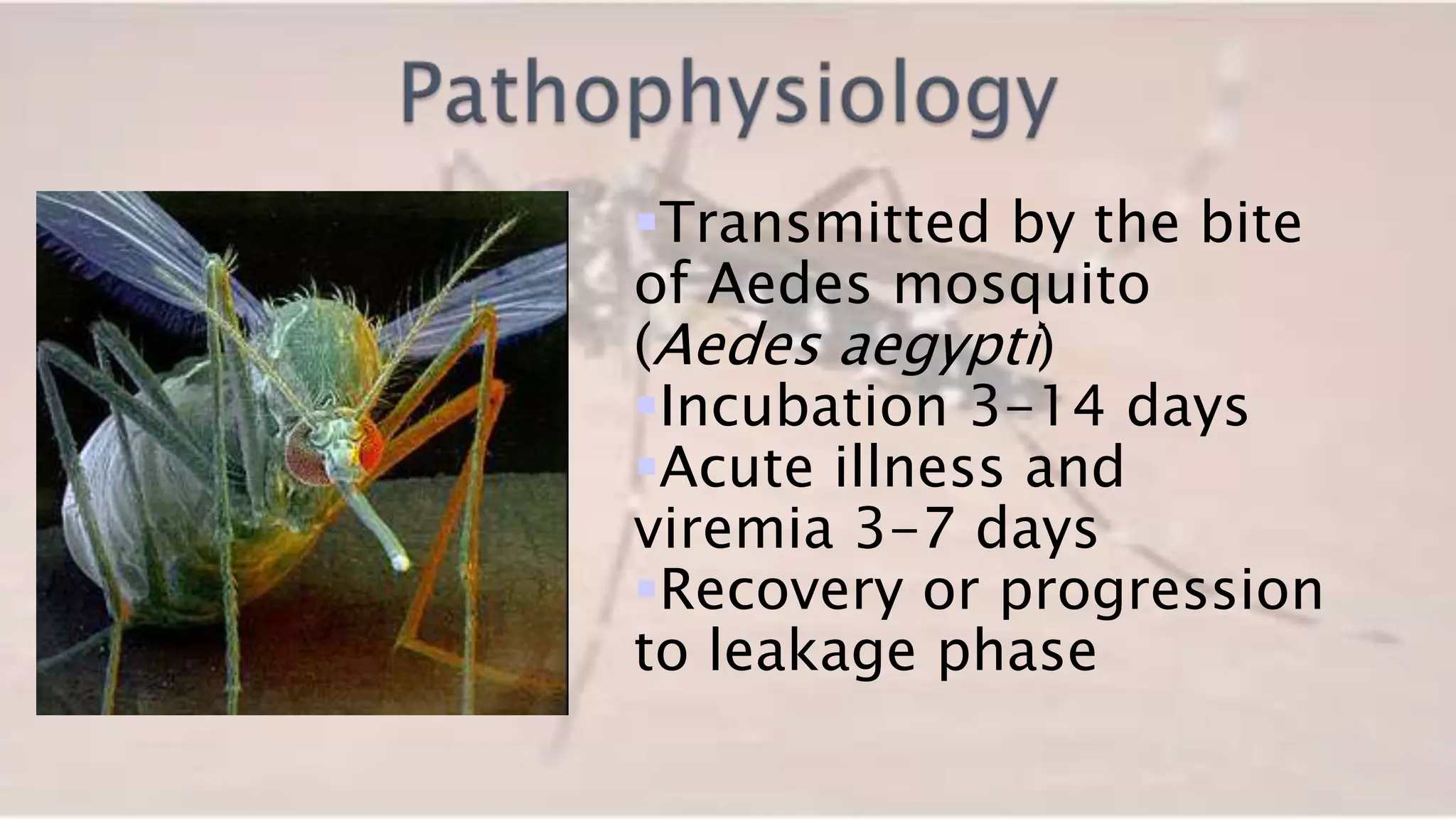 Dengue fever ppt(1) | PPTX