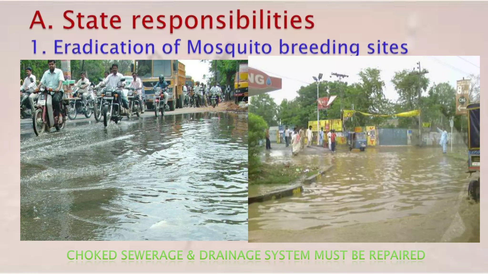 Dengue fever ppt(1) | PPT