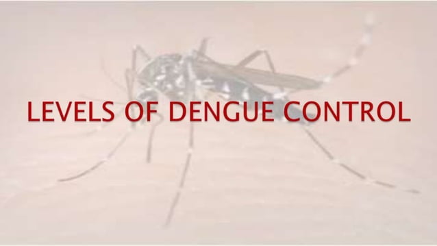 Dengue fever ppt(1) | PPT
