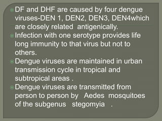 Dengue fever ppt [autosaved] | PPTX
