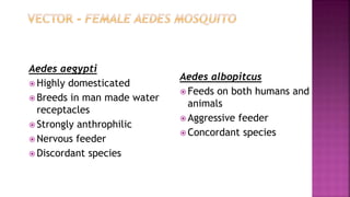 dengue fever protocol-1.pptx