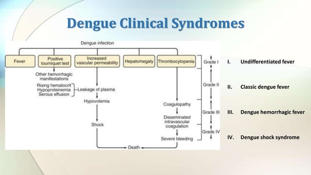 Dengue fever Epidemiology - pathogenesis - symptoms - diagnosis ...