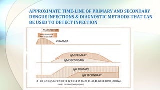 Dengue fever Epidemiology - pathogenesis - symptoms - diagnosis ...