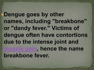 Dengue fever slide | PPTX | Infectious Diseases | Diseases and Conditions