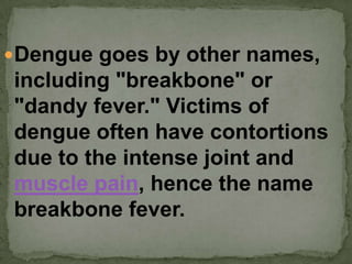 Dengue fever slide | PPTX