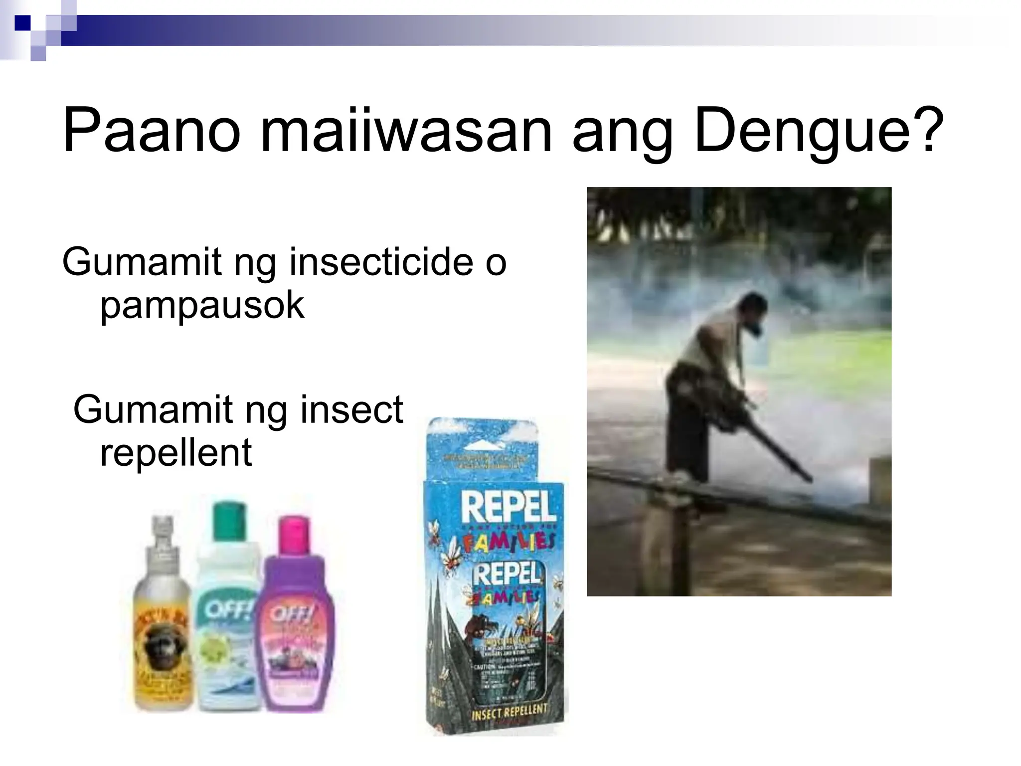 Dengue+Fever Tagalog sa mga paaralan, bahay at community | PPT