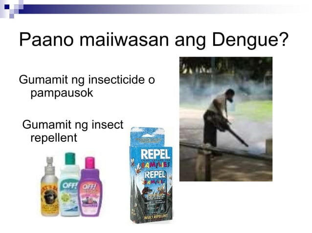 Dengue+Fever Tagalog sa mga paaralan, bahay at community | PPT