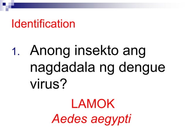 Dengue+Fever Tagalog sa mga paaralan, bahay at community | PPT
