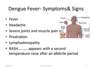 Dengue feve rversion 5 | PPT
