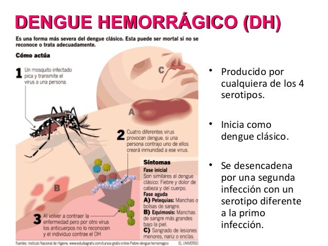 Dengue, Fiebre Amarilla y Fiebres Hemorragicas - Microbiologia Barcelo
