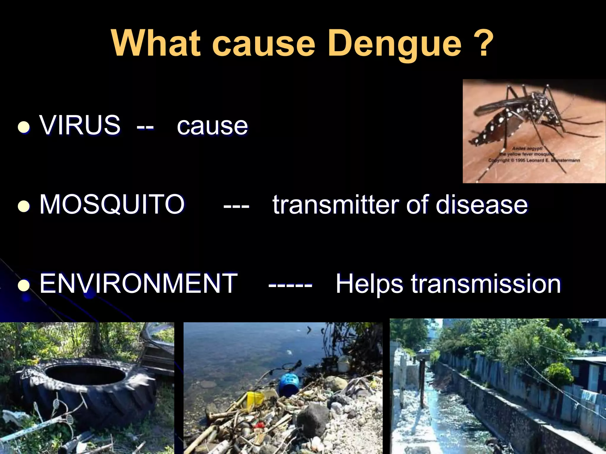 Dengue & It's Management in Bangladesh | PPTX