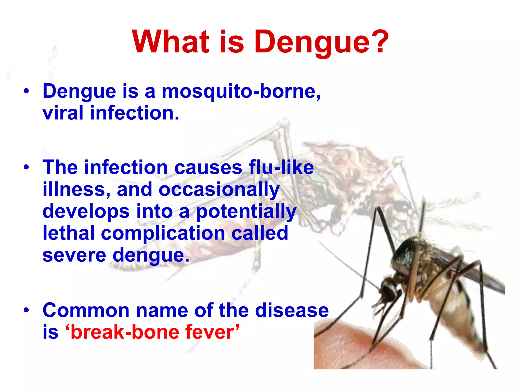 Dengue & It's Management in Bangladesh | PPTX