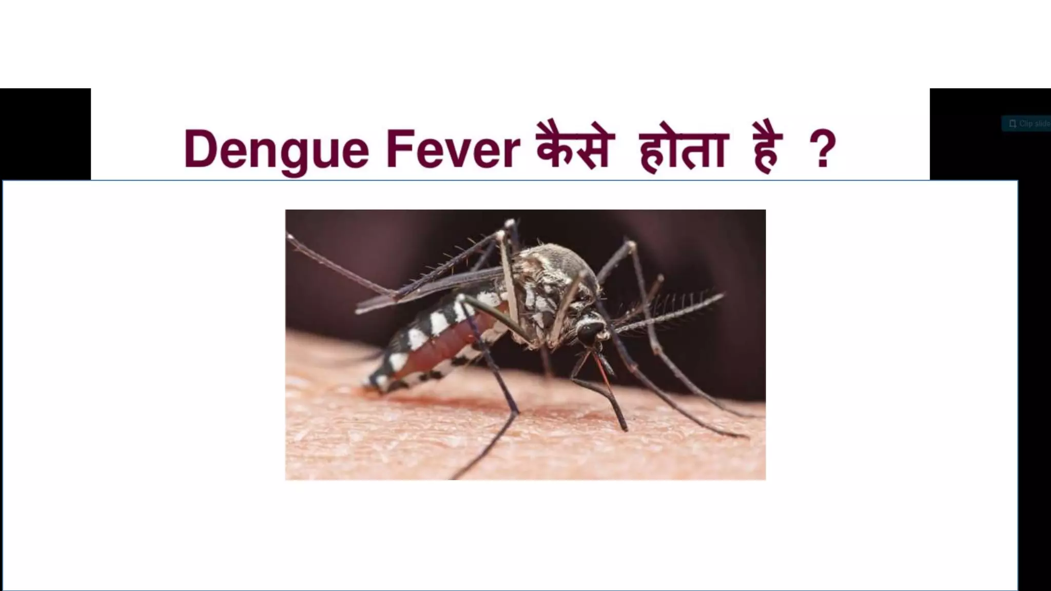 Dengue sign and symptoms | PPTX