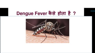 Dengue sign and symptoms | PPTX