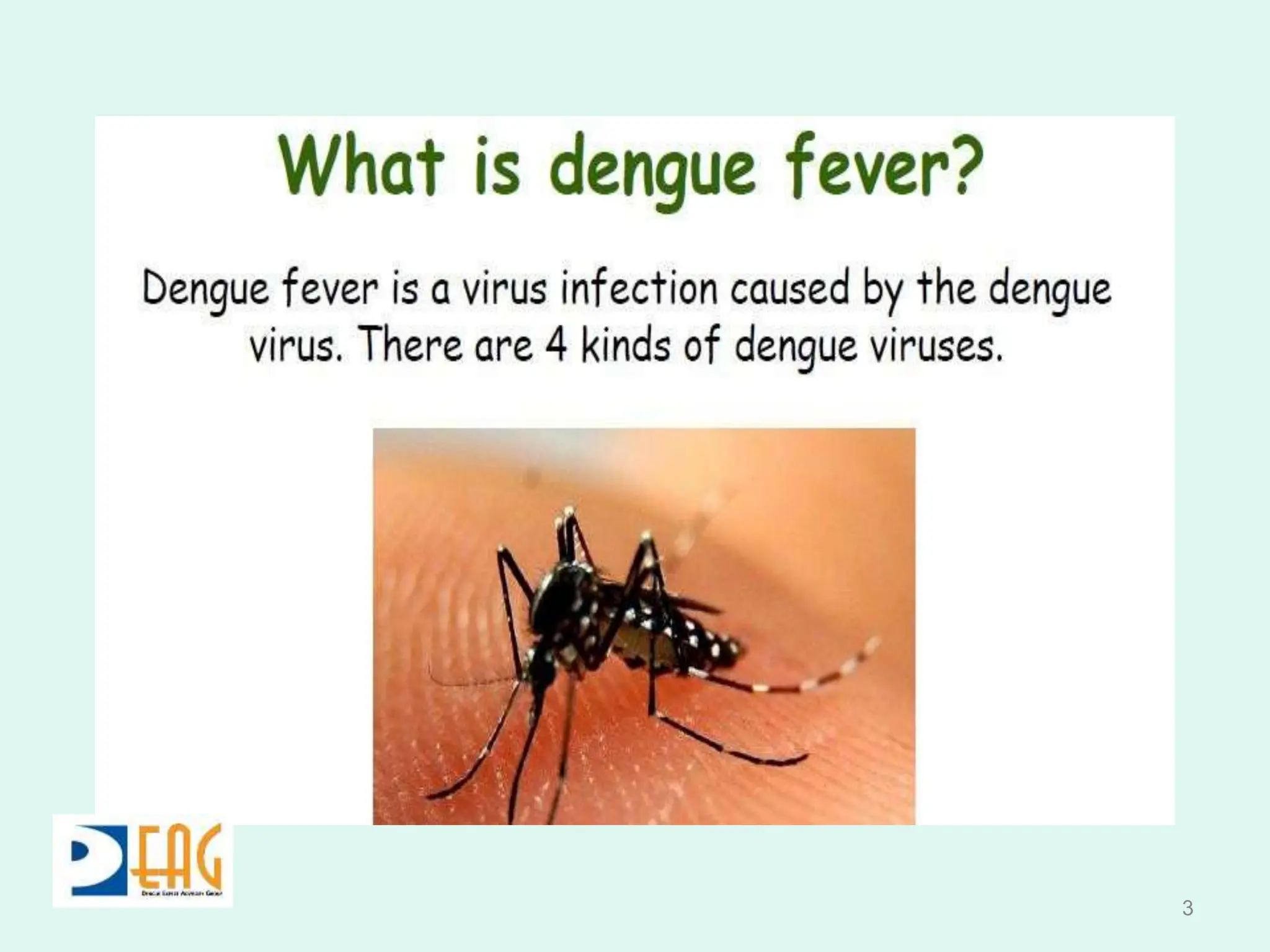 Dengue Diagnosis and case management - SLMC.pptx