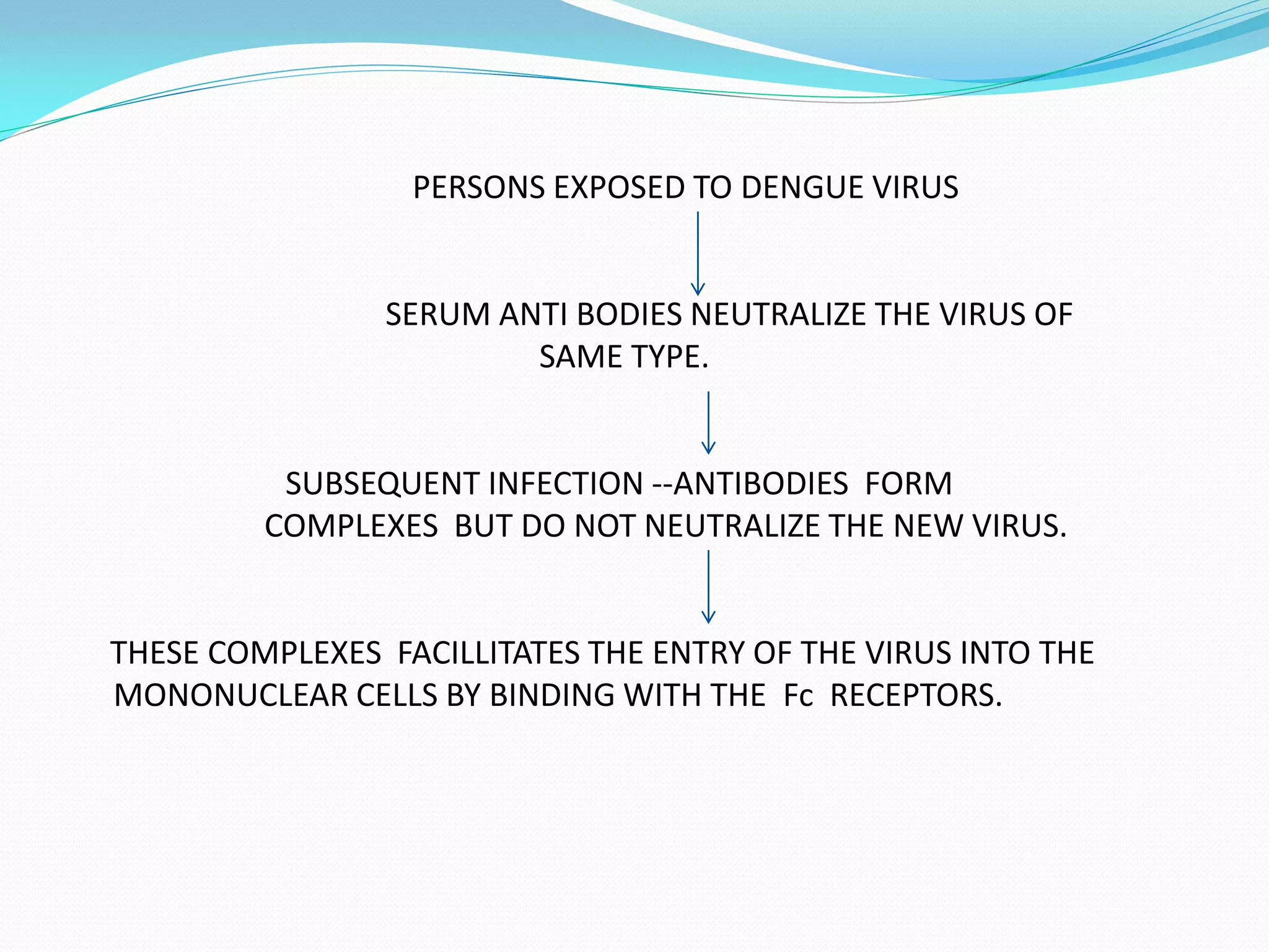 Dengue final pdf | PDF