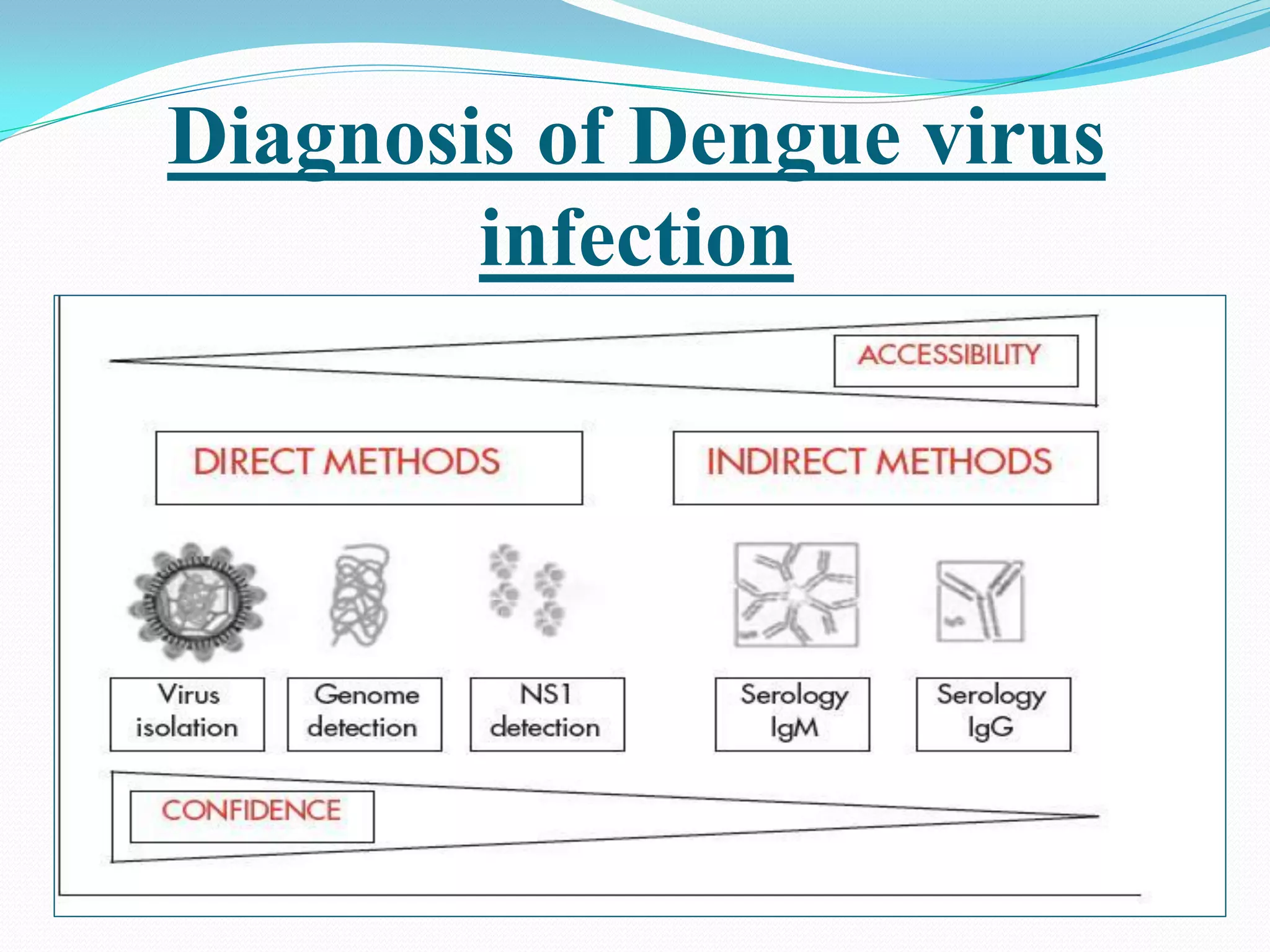 Dengue final pdf | PDF