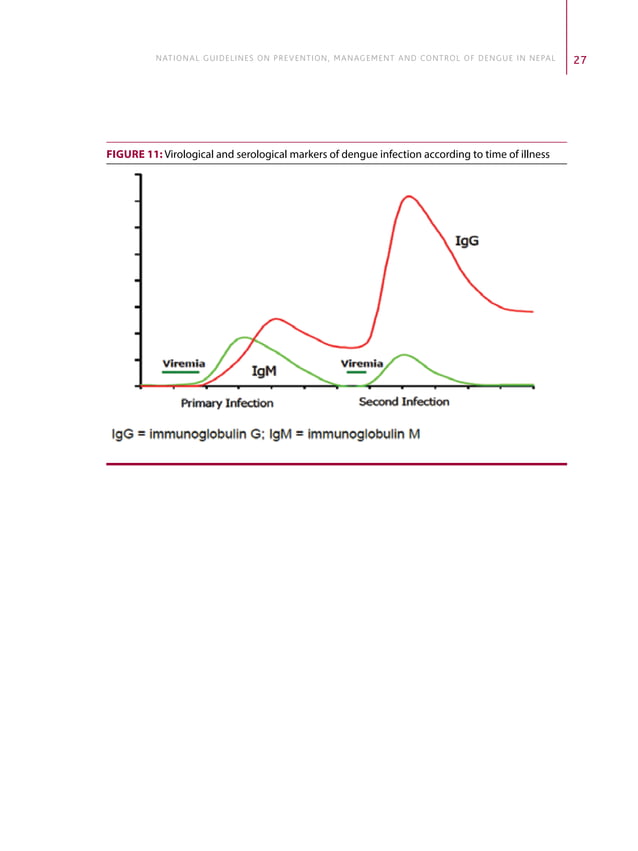 DENGUE GUIDELINES.pdf | Infectious Diseases | Diseases and Conditions