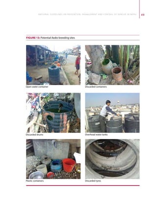 DENGUE GUIDELINES.pdf