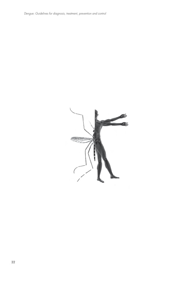 Dengue guidelines for diagnosis treatment prevention and control | PDF