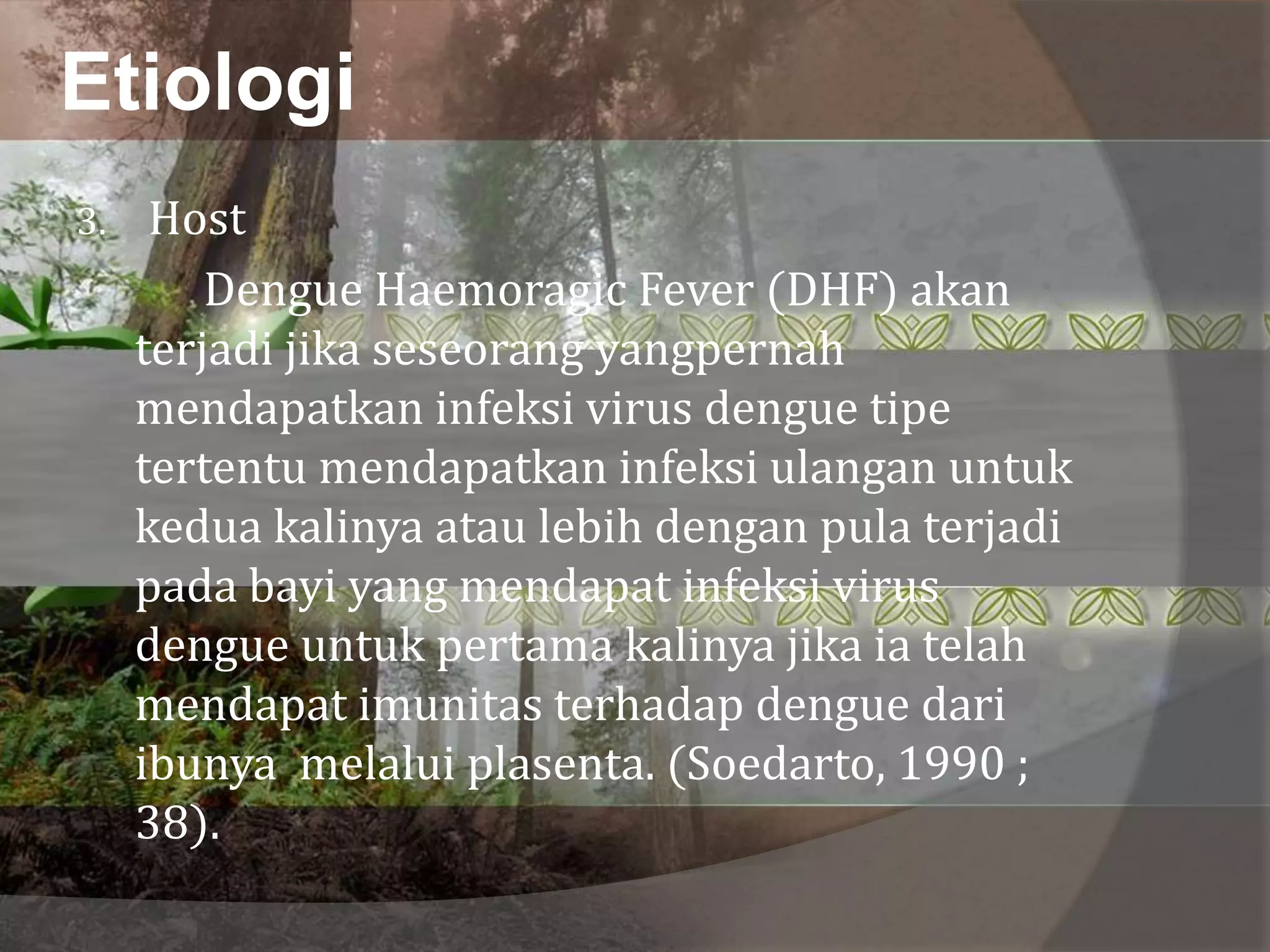 Dengue hemoragic fever (dhf) | PPTX
