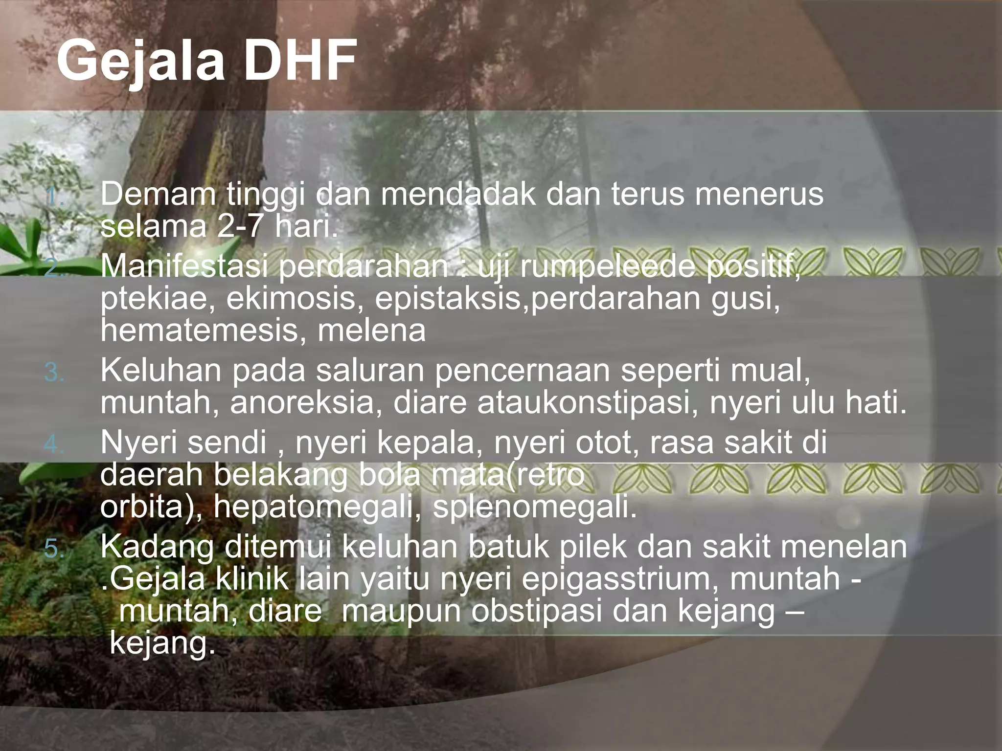 Dengue hemoragic fever (dhf) | PPTX