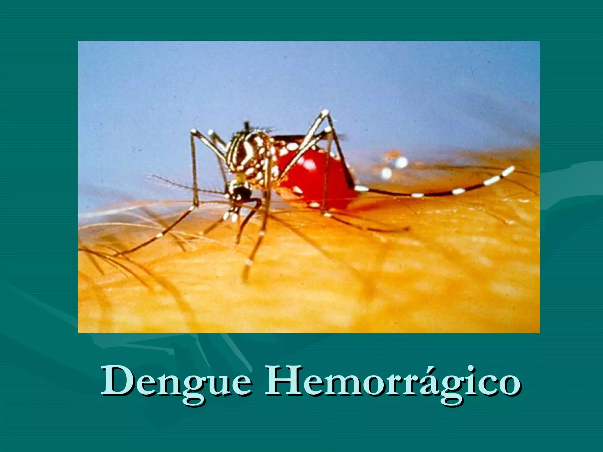 Dengue hemorrágico | PPT