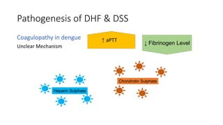 Dengue Hemorrhagic Fever and DSS | PPT