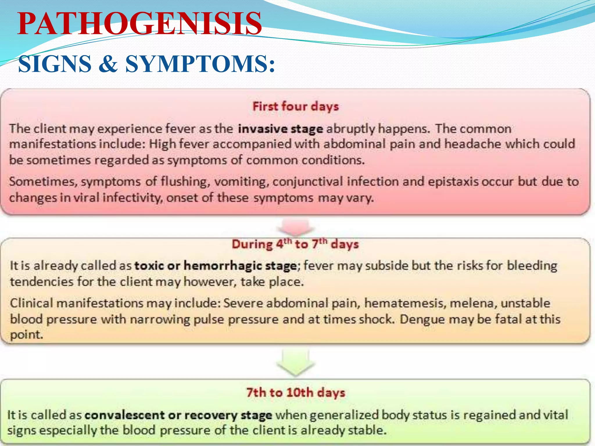 Dengue hemorrhagic fever (dhf) | PPTX