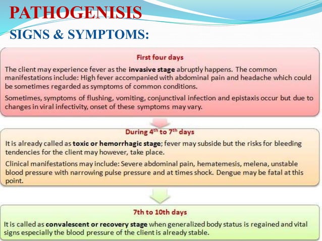 Dengue hemorrhagic fever (dhf) | PPT