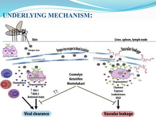 Dengue hemorrhagic fever (dhf) | PPT
