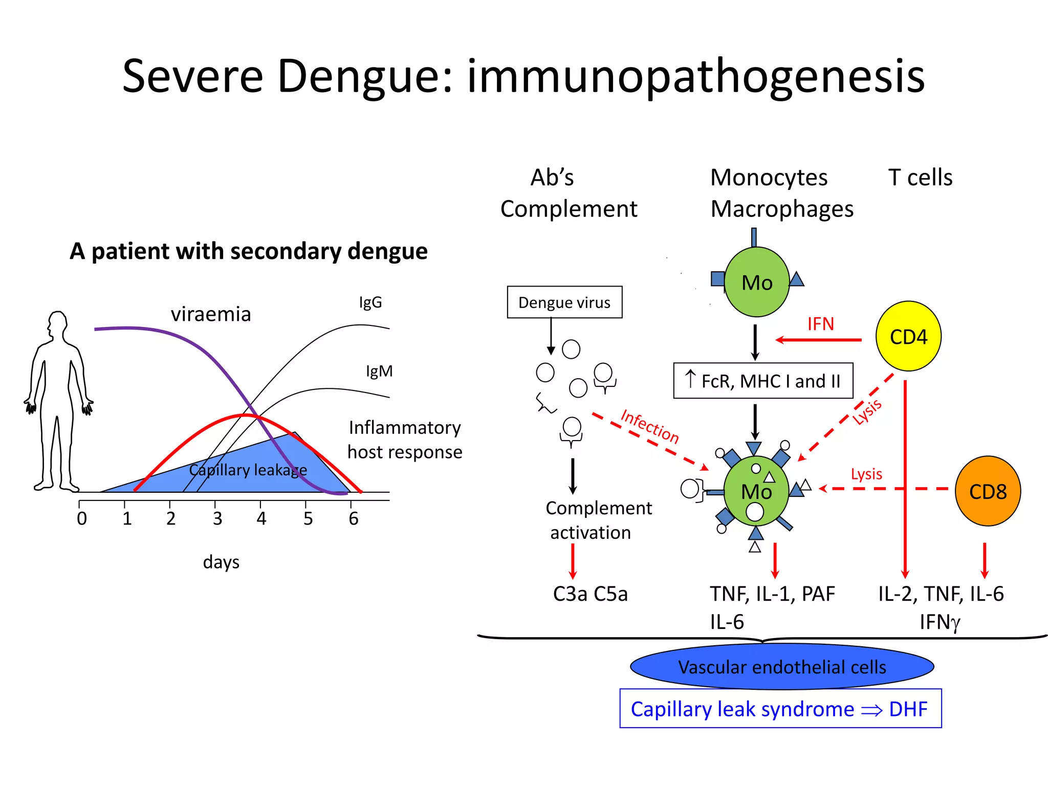 dengue fever management | PPTX