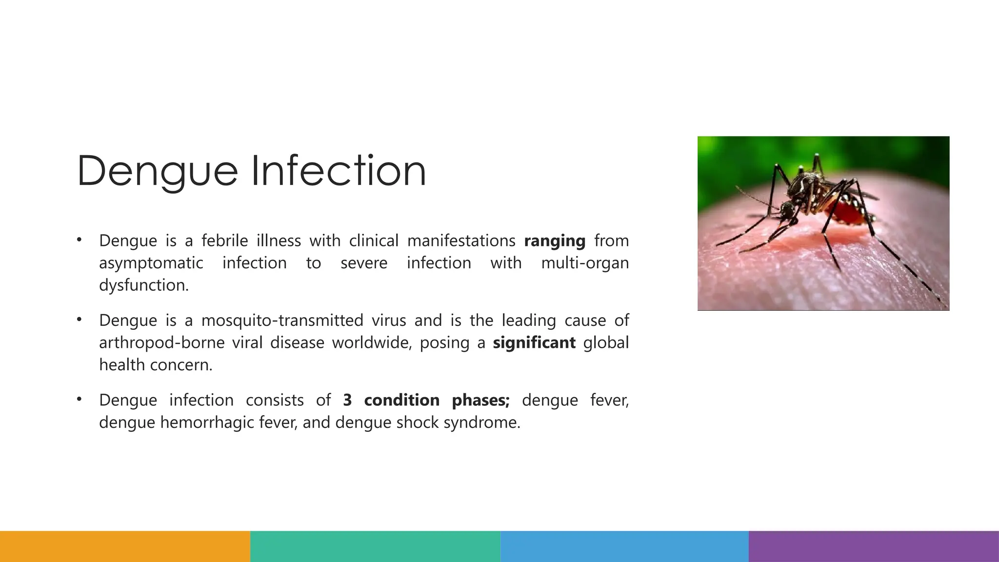 Dengue Infection and Environment in Palembang.pptx