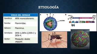 Dengueenmedicinafamiliardeprimercontacto.pptx