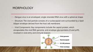 dengue KISHORE SOWRAN microbiology presentation.pptx
