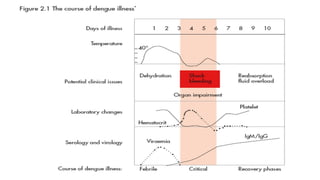 DENGUE MANAGEMENT- AS PER LATEST WHO GUIDELINES | PPTX