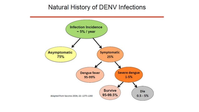 DENGUE MANAGEMENT- AS PER LATEST WHO GUIDELINES | PPTX