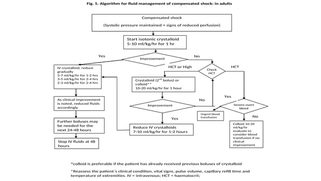 DENGUE MANAGEMENT- AS PER LATEST WHO GUIDELINES | PPTX