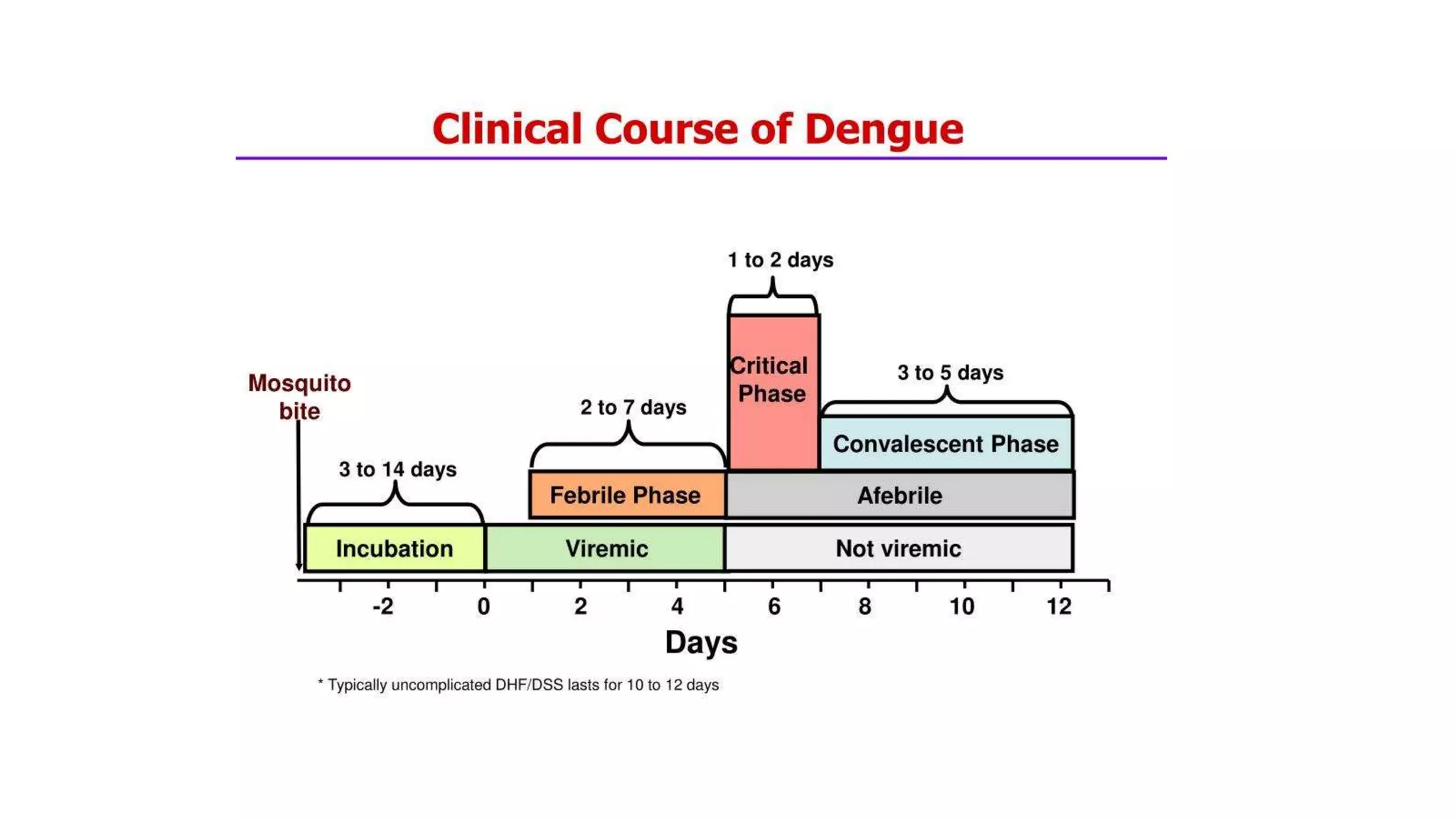 DengueManagementinED.pptx