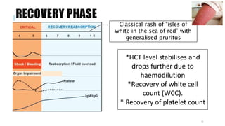 DengueManagementinED.pptx