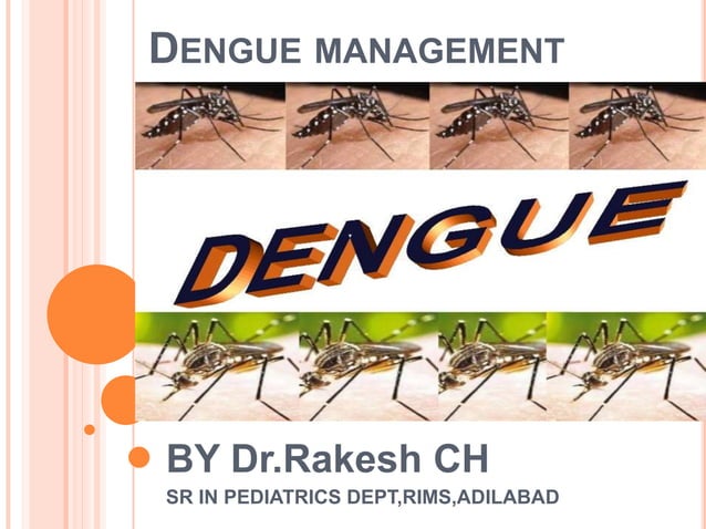 Dengue management ppt | PPTX