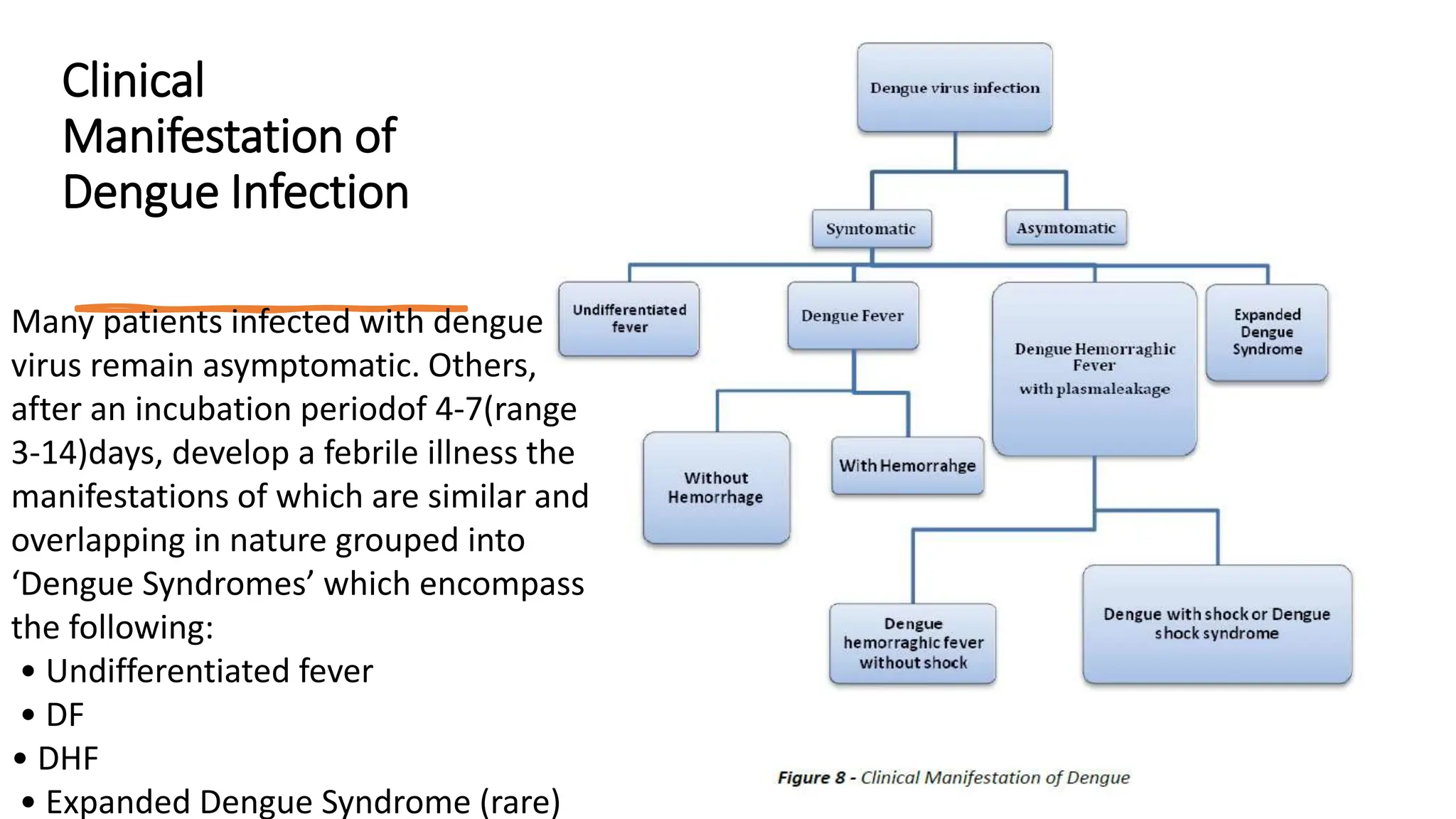 Dengue national guidelines by dr. Saddam.pptx