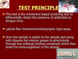 Dengue New | PPT